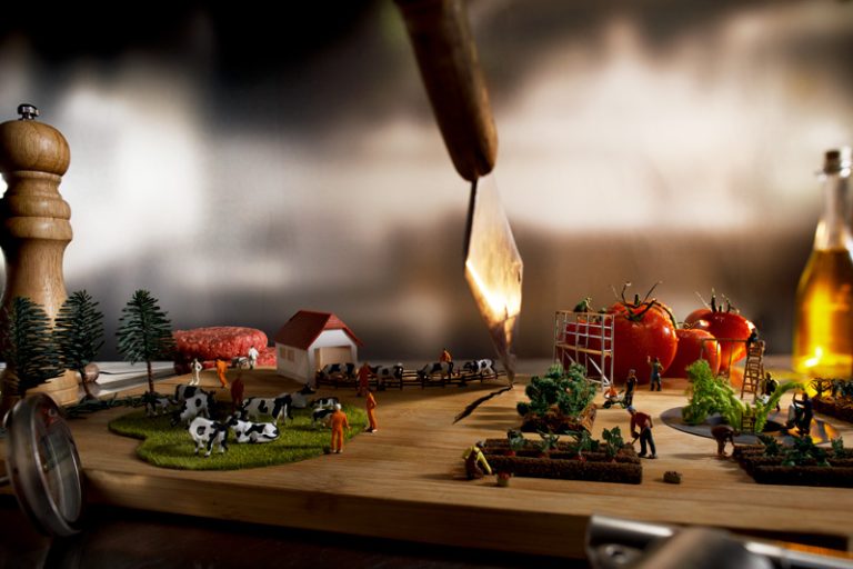 Home - Chuck Studios